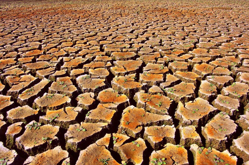 Terra seca imagem de stock. Imagem de jardim, freio, geologia - 27202341