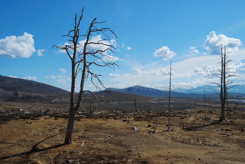 Terra sem-vida imagem de stock. Imagem de ambiental, ambiente - 5788283