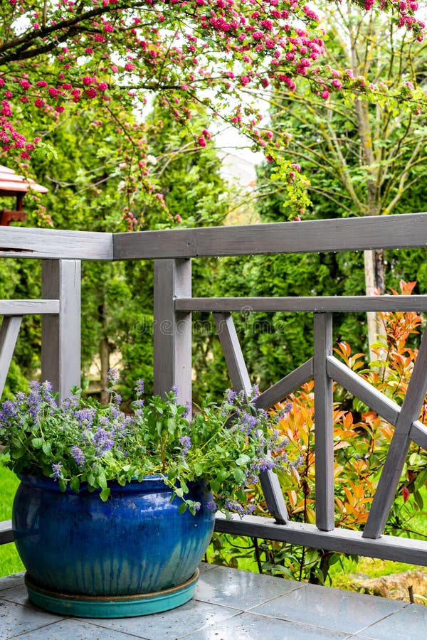Terrace Area with a Gray Railing and a Blue Flower Pot Stock Photo ...