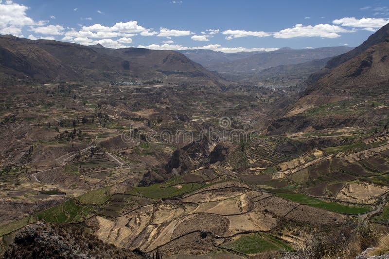 Terrace in canyon stock photo. Image of earthy, colca - 12626708