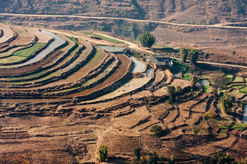 Terrace field stock photo. Image of northlan, summer - 12533610