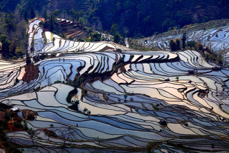 Yuanyang rice terraces stock photo. Image of asia, home - 34217522