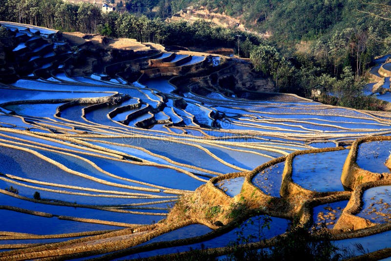 Terrace field stock image. Image of asia, home, chinese - 23391597