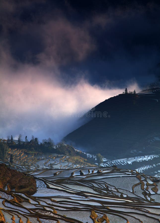Terrace field stock image. Image of cloudy, highland - 27772621