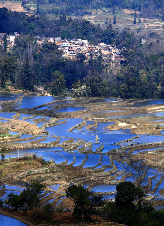 Terrace field stock image. Image of asia, home, chinese - 23391597