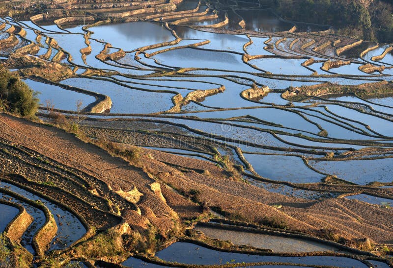 Terrace field stock photo. Image of outdoor, peaceful - 28342022