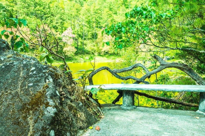 Terrace in the forest stock photo. Image of colorful - 188378784
