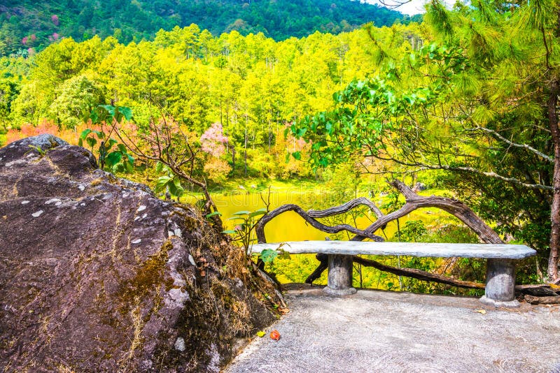 Terrace in the forest stock image. Image of outdoor - 176296075