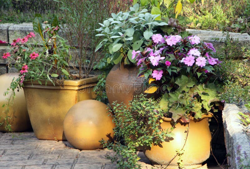 Terrace Garden with Pot Plants Stock Photo - Image of gardening, potted ...