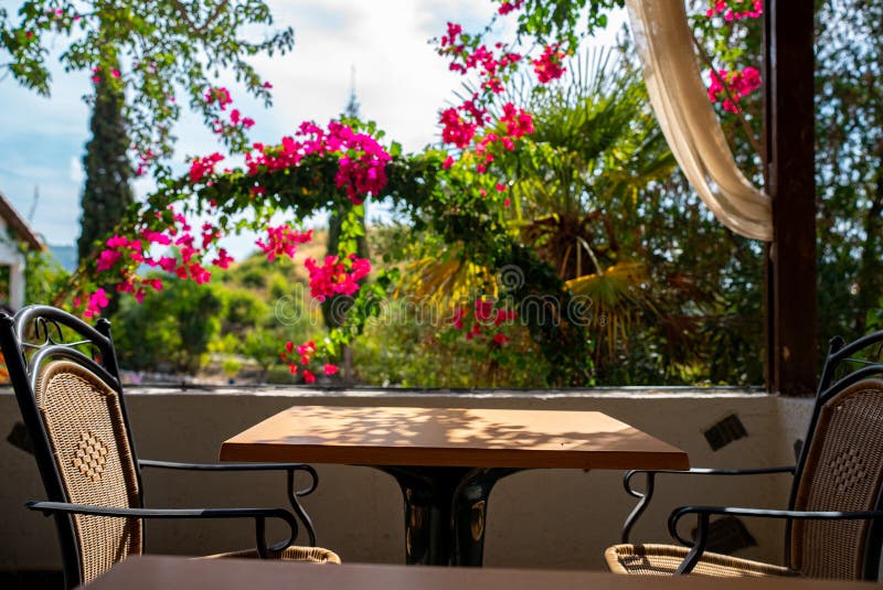 Terrace with greenery stock photo. Image of lounge, summer - 317307194