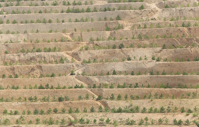 Terrace planting stock photo. Image of land, tree, loess - 15548100