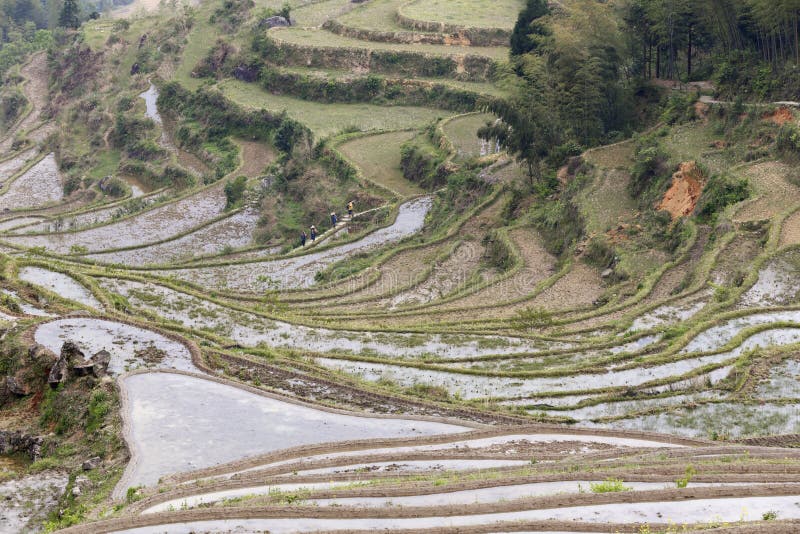 Terrace ridge like waves stock photo. Image of ancient - 53641866