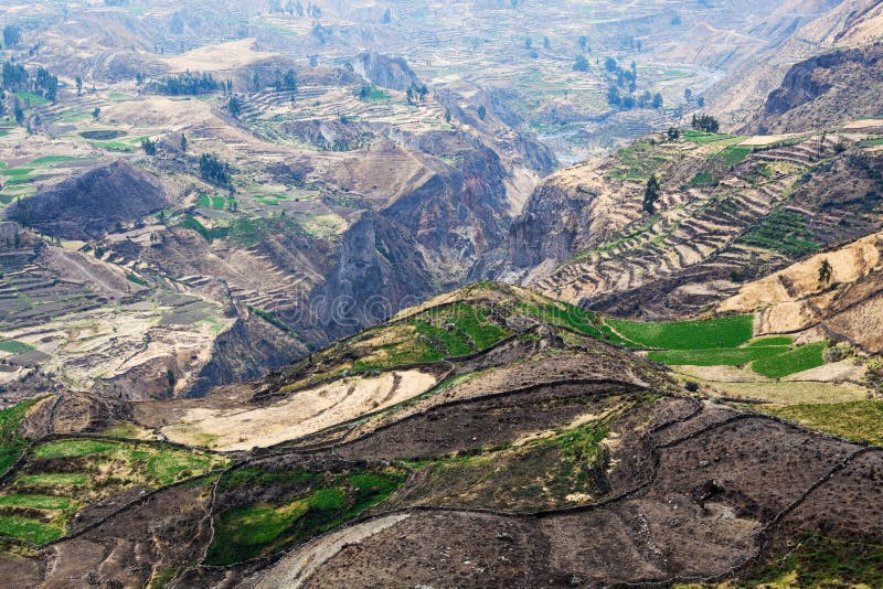 Terrace on Shore of Mountain River Stock Photo - Image of field, range ...