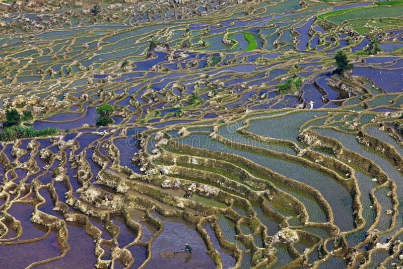 Terrace in sunshine stock image. Image of fujian, overlook - 28266637