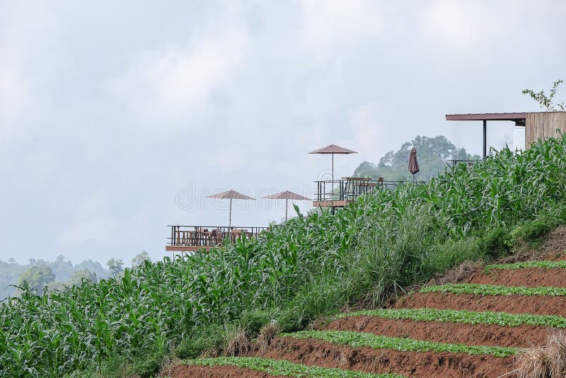 Terrace on the Terrace Cropping Stock Image - Image of river, stone ...