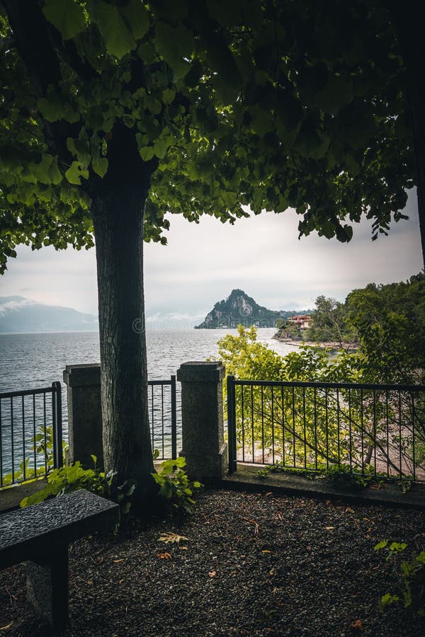 Terrace with Tree Shade Overlooking the Lake Stock Photo - Image of ...