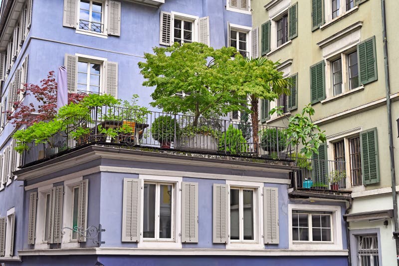 Terrace with Trees and Plants in Zurich Stock Image - Image of plants ...