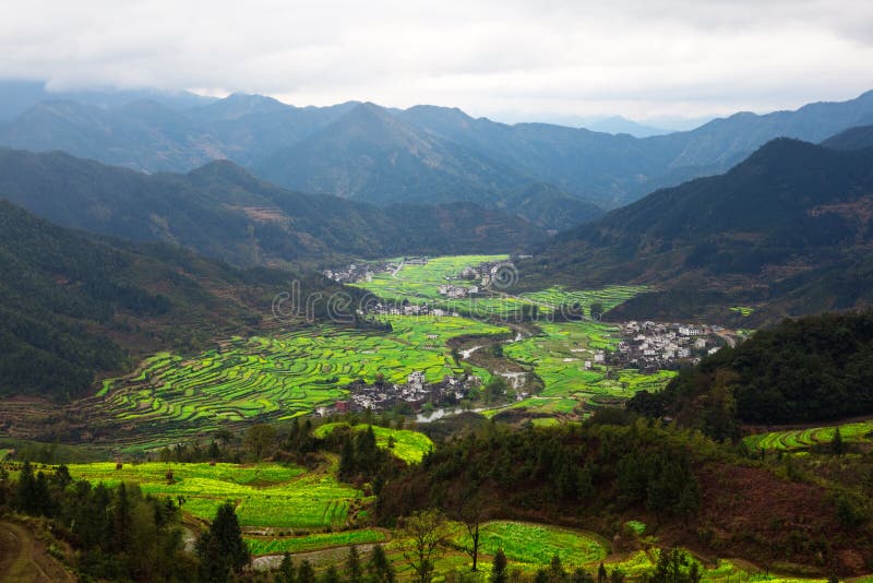 Terrace view in spring stock photo. Image of green, jiangling - 13718700