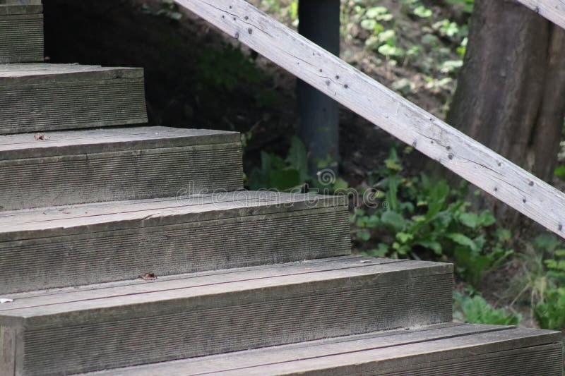 Terrace Wooden Platform. a Wooden Platform in the Park. Decking Wood ...