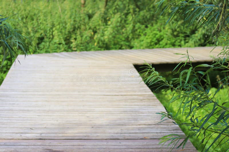 Terrace Wooden Platform. a Wooden Platform in the Park Stock Image ...