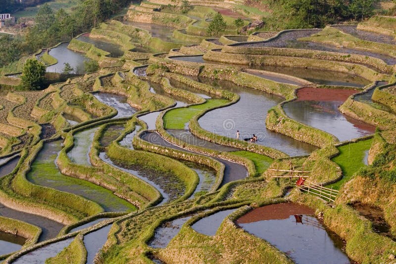 Red Algae Farm Stock Photos - Free & Royalty-Free Stock Photos from ...