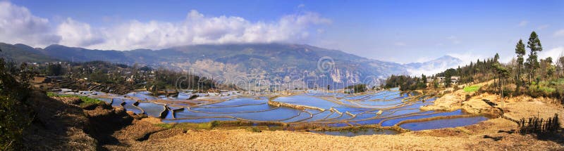 Terraced fields stock image. Image of panorama, terraced - 8254903