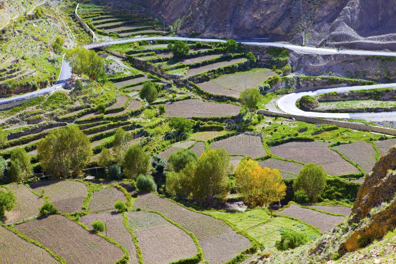 Terraced fields stock image. Image of paddy, grains, grow - 35340471