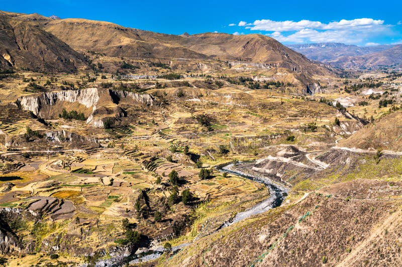 Terraced Fields within the Colca Canyon in Peru Stock Photo - Image of ...