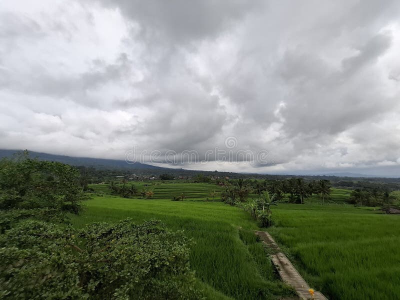 The Terraced Fields Create a Striking Stock Photo - Image of sunrise ...