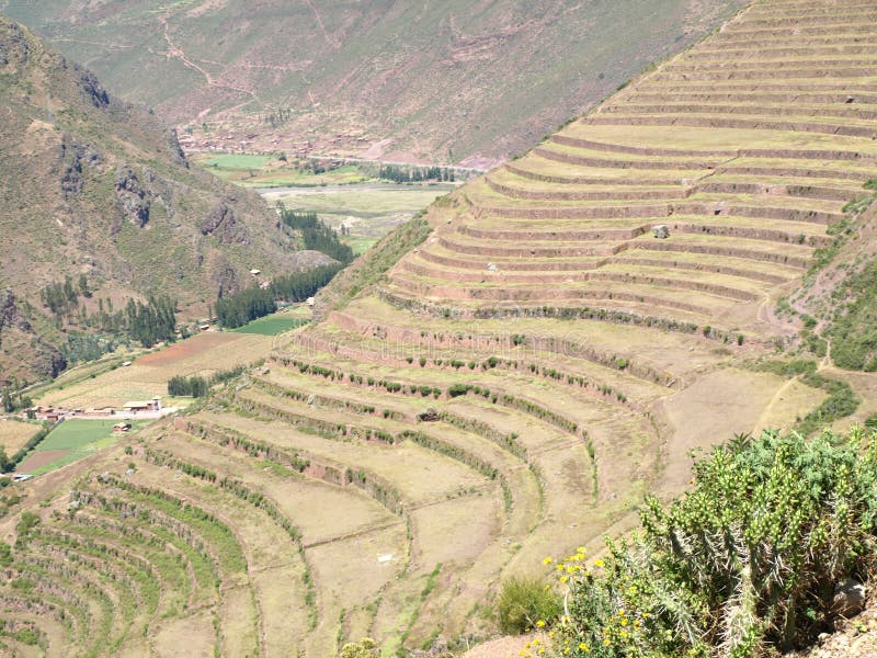 Terraced Fields in Mountains Stock Photo - Image of peru, agricultural ...