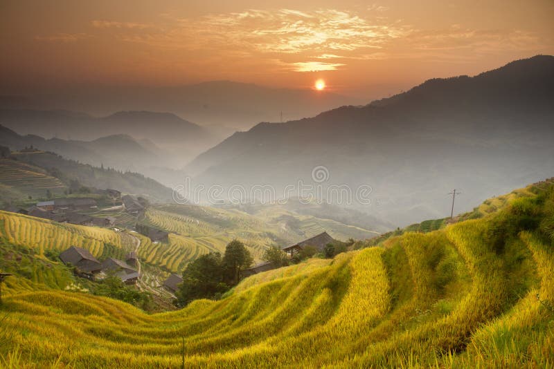 Rice Paddies in Japan stock photo. Image of maruyama - 47528564