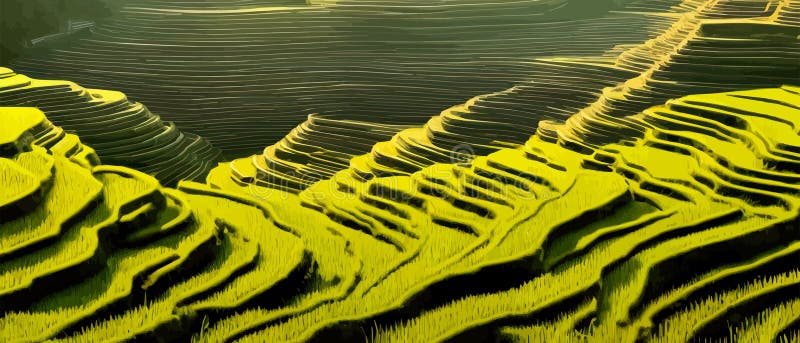 Terraced Plantation Poster Chinese Rice Fields Stock Vector ... Terraced Plantation Poster Chinese Rice Fields Stock Vector ...