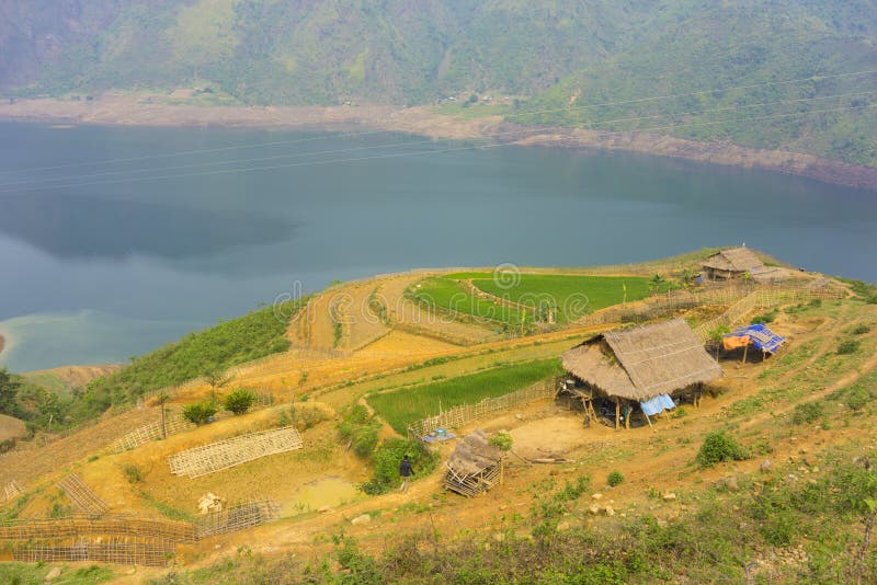 Terraced Rice Field by Riverside Stock Image - Image of earth, paddy ...