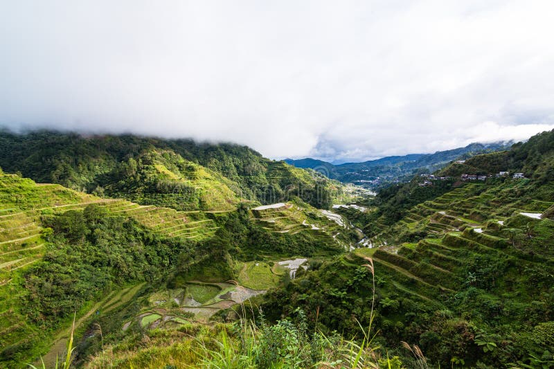Terraced Rice Fields in Banaue in Cordilella, Philippines Stock Photo ...