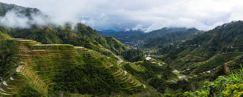 Terraced Rice Fields in Banaue in Cordilella, Philippines Stock Image ...