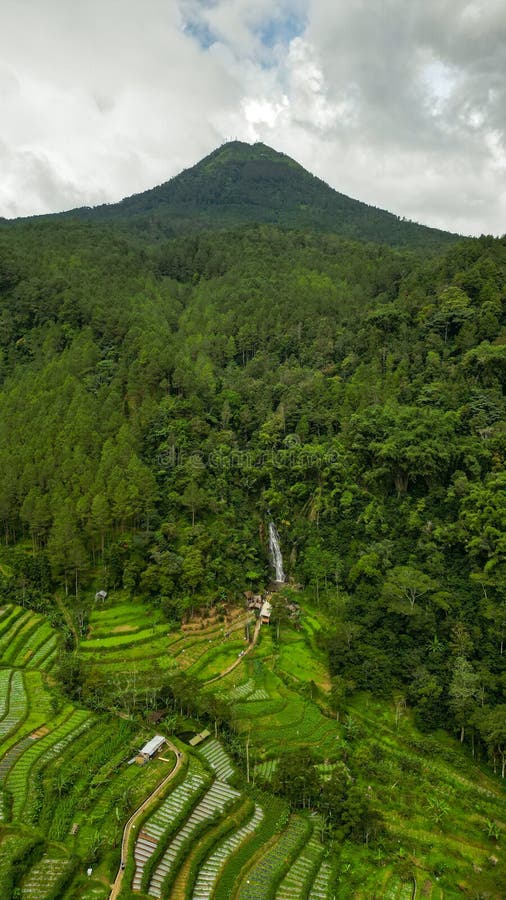 Terraced Rice Fields and a Beautiful Waterfall with a Majestic Mountain ...