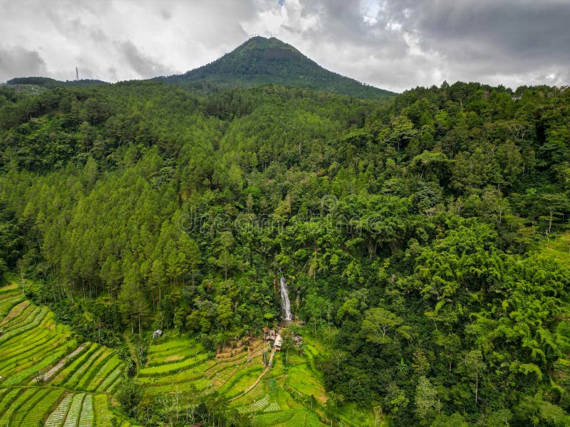 Terraced Rice Fields and a Beautiful Waterfall with a Majestic Mountain ...