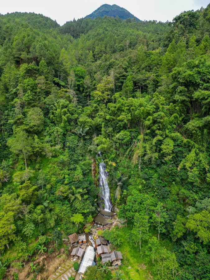 Terraced Rice Fields and a Beautiful Waterfall with a Majestic Mountain ...