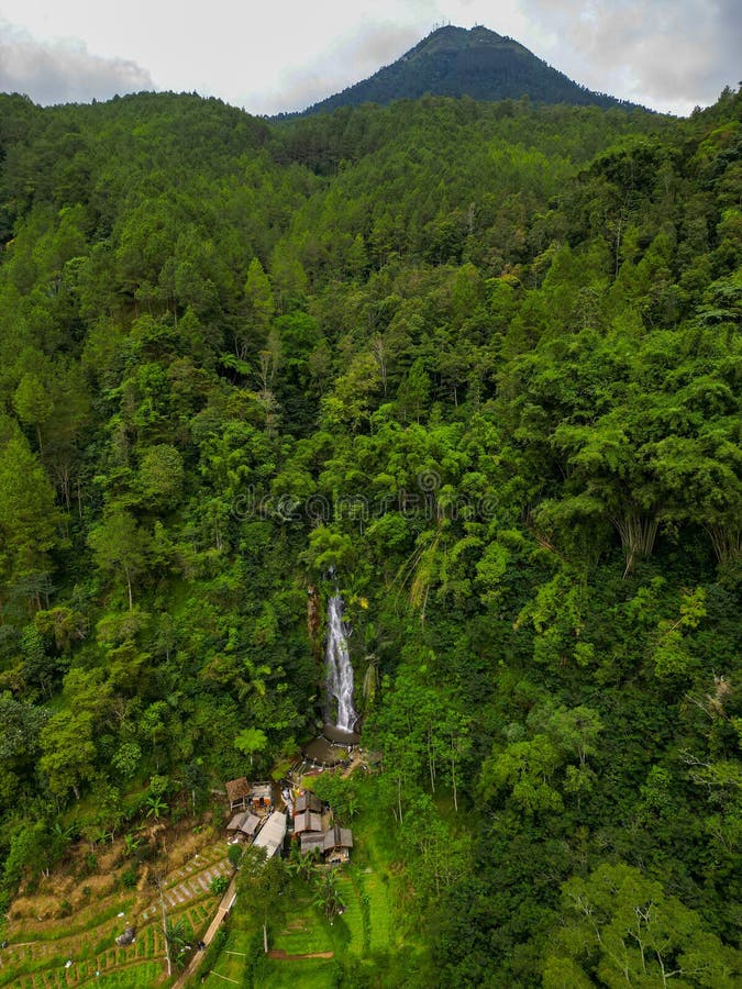 Terraced Rice Fields and a Beautiful Waterfall with a Majestic Mountain ...