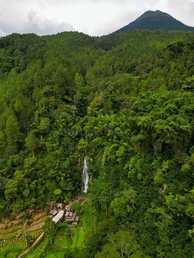 Terraced Rice Fields and a Beautiful Waterfall with a Majestic Mountain ...