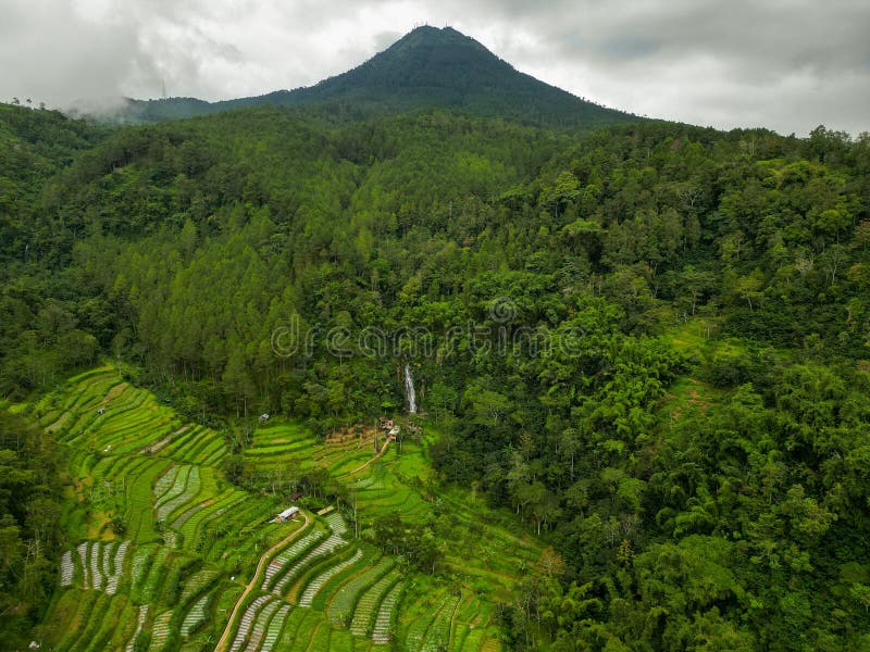 Terraced Rice Fields and a Beautiful Waterfall with a Majestic Mountain ...