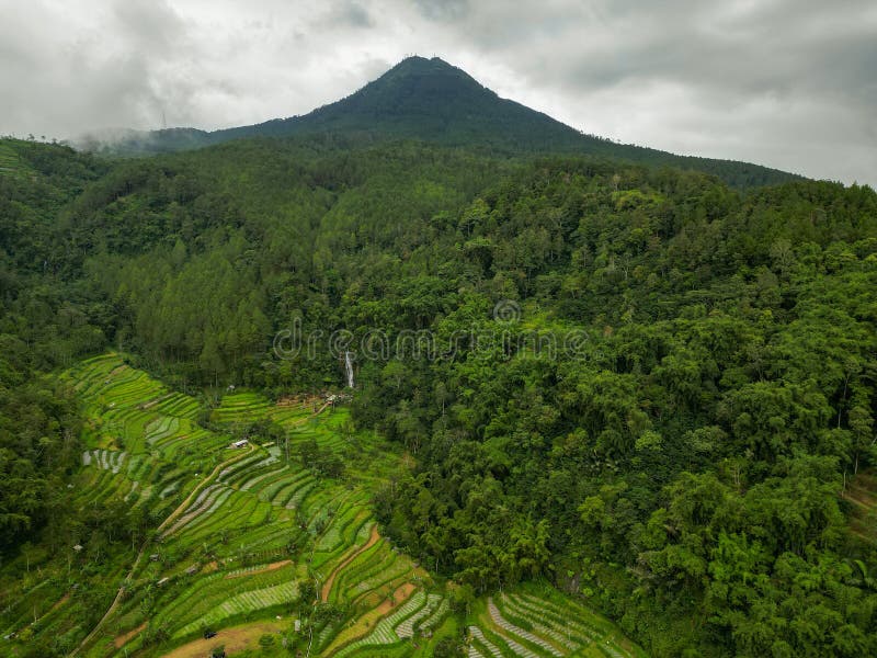 Terraced Rice Fields and a Beautiful Waterfall with a Majestic Mountain ...