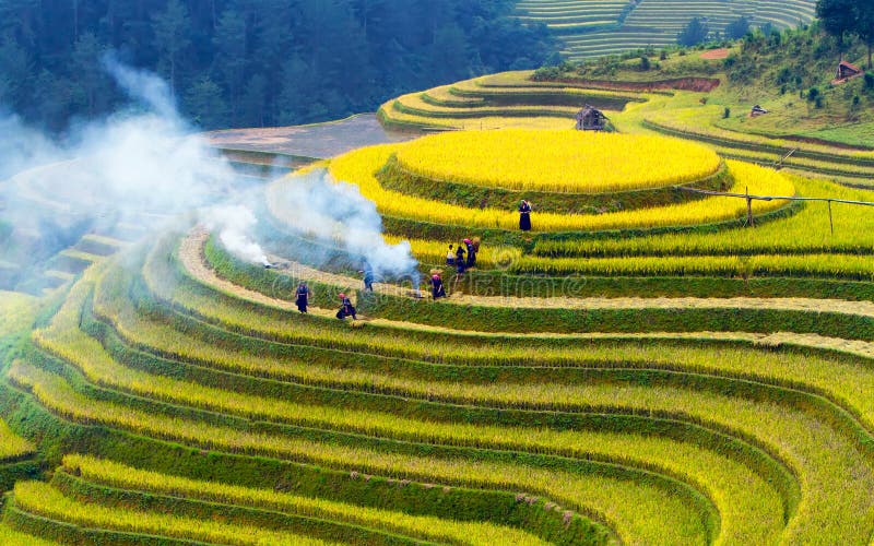 Terraced rice fields editorial stock photo. Image of myanmar - 34357068