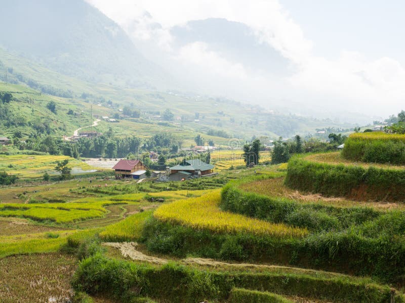 Terraced Rice Fields in Hills Stock Image - Image of terrace, land ...