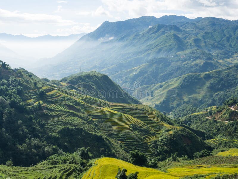 Terraced Rice Fields in Hills Stock Image - Image of rough, agriculture ...