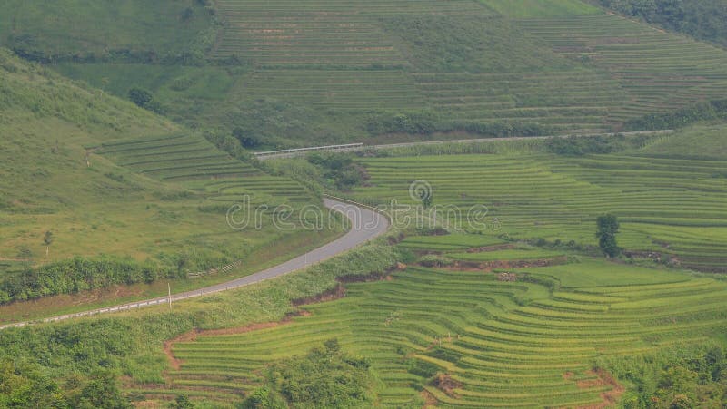 Terraced Rice Fields with Road at Mong Duong Town in Hagiang, Vietnam ...