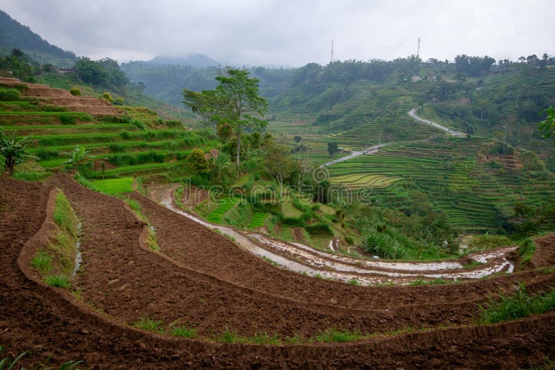 Terraced Rice Fields on the Slopes of the Mountains Stock Photo - Image ...
