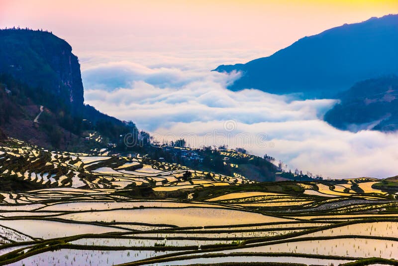 Flooded Rice Fields in South China Stock Image - Image of colorful ...
