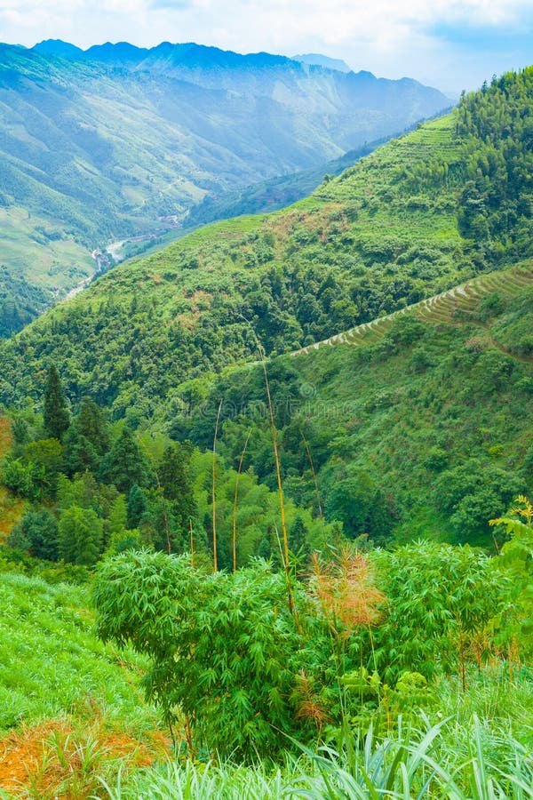 Terraced Rice Paddies Longji China Stock Photo - Image of landscape ...