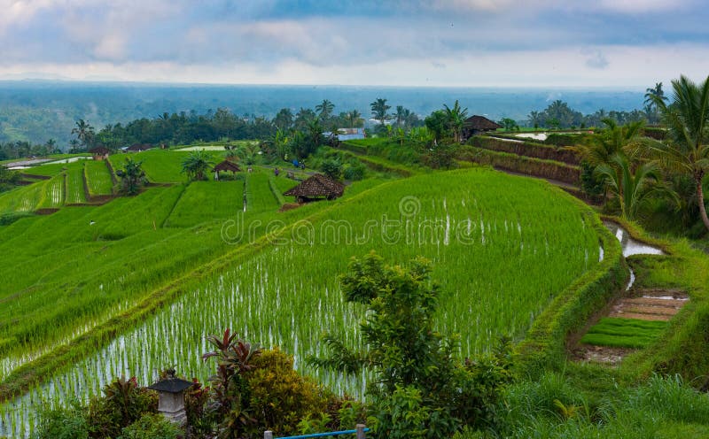 Volcanoes in Bromo Tengger Semeru National Park at Sunrise. Java Stock ...